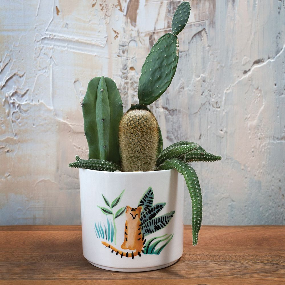 Tiger Panthera Planter | Animal Planter | Planter Pot for Succulents ...