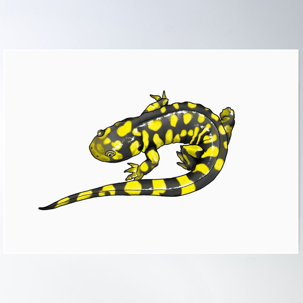 Tiger Salamander Poster Wall Art, Modern Wall Decor For Living Room ...