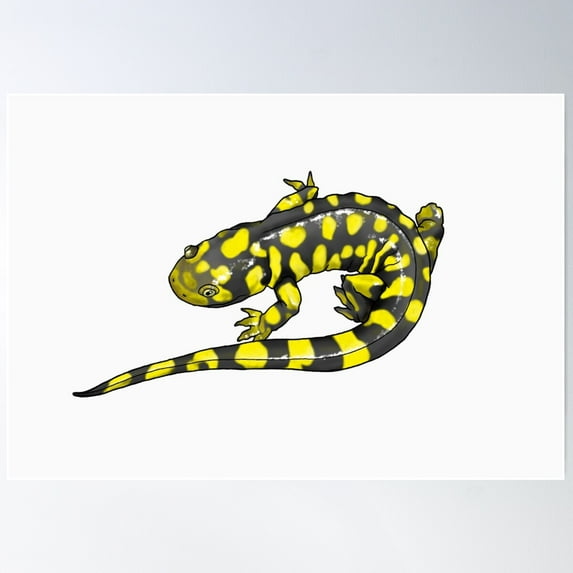 Tiger Salamander Poster Wall Art, Modern Wall Decor For Living Room ...