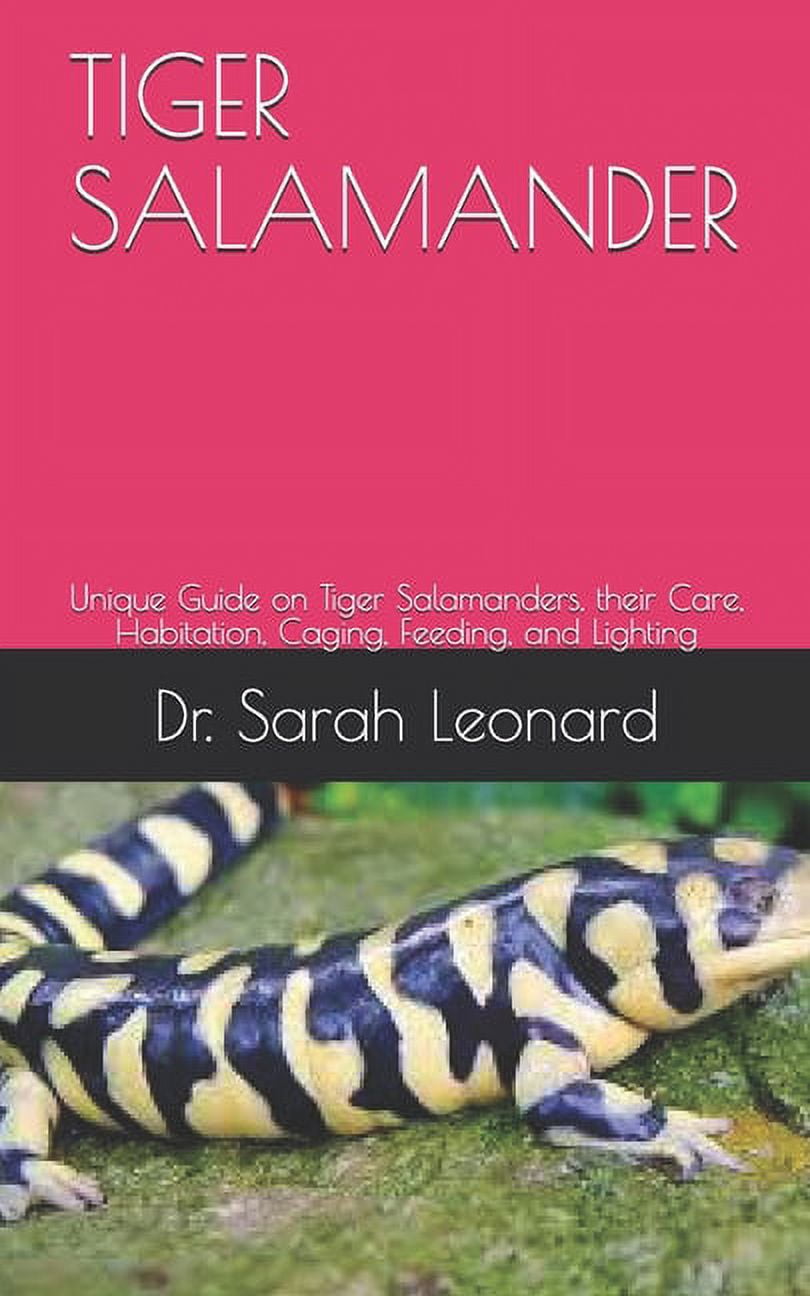 Tiger Salamander: Unique Guide on Tiger Salamanders, their Care ...