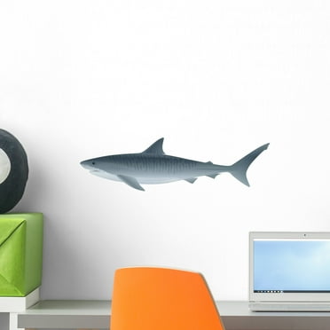 Snake Boa Snake Released Wall Decal by Wallmonkeys Peel and Stick ...