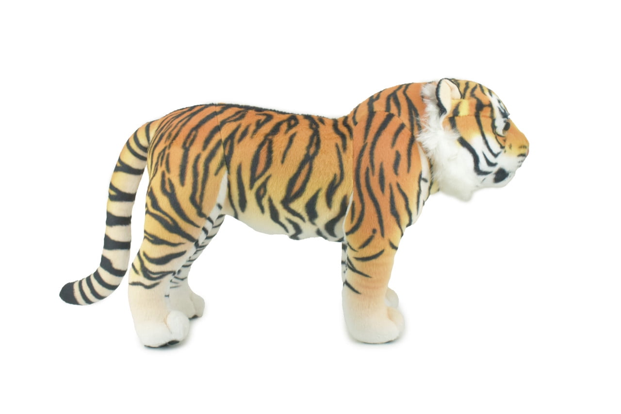 Tiger, Standing, Panthera tigris, Bengal, Asia, Big Cats, Very Nice ...