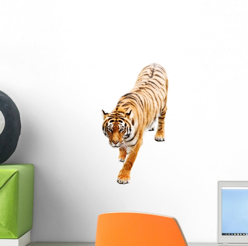 Tiger Wall Decal by Wallmonkeys Peel and Stick Graphic (12 in H x 7 in ...