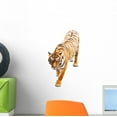 Tiger Wall Decal by Wallmonkeys Peel and Stick Graphic (12 in H x 7 in ...