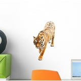 Tiger Wall Decal by Wallmonkeys Peel and Stick Graphic (12 in H x 7 in ...