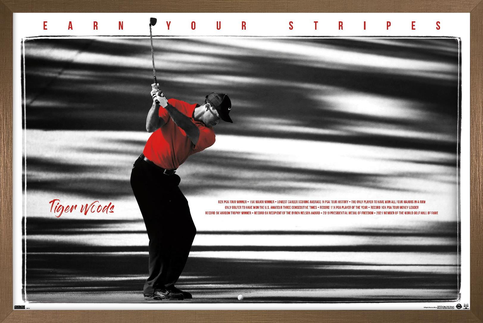 Tiger Woods - Earn Your Stripes 24" x 16" Framed Poster, by Trends ...