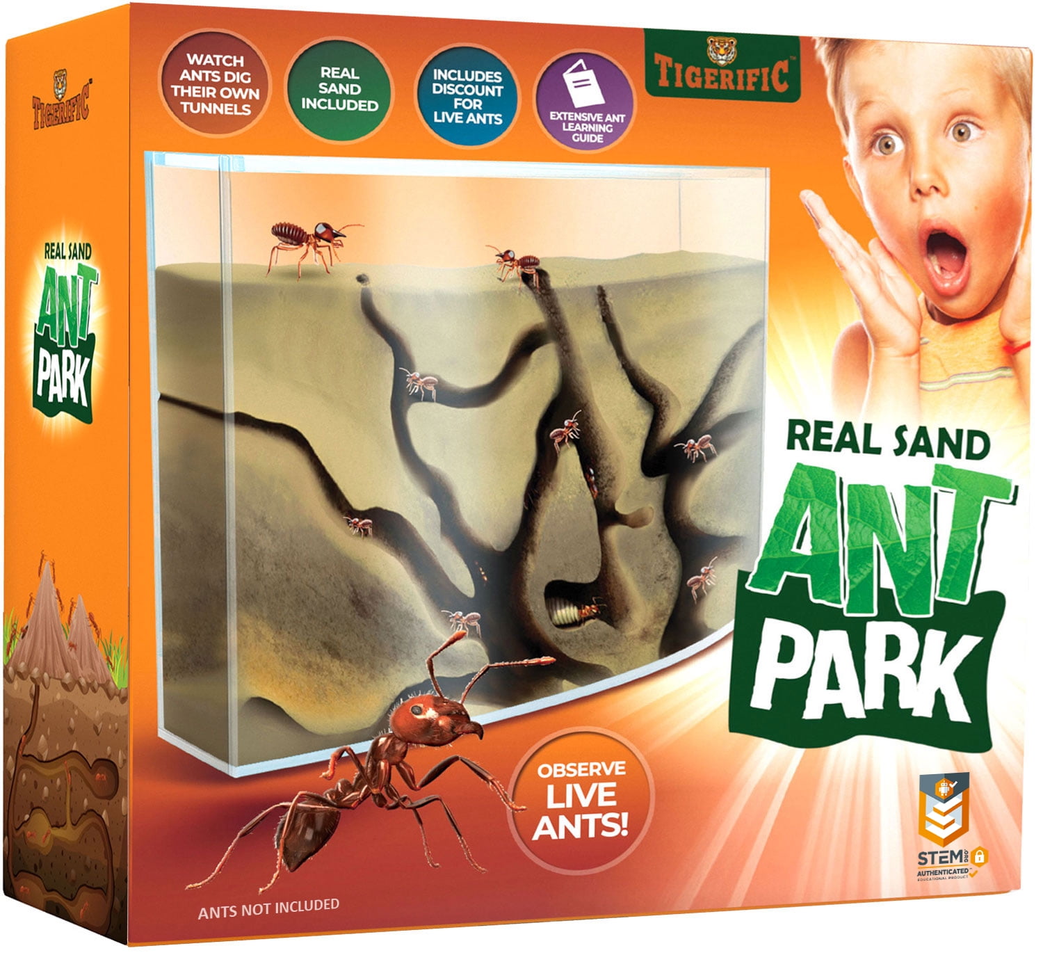 Tigerific Ant Farm for Live Ants - Real Sand Colony Kit for Kids – Fascinating Science Habitat ...