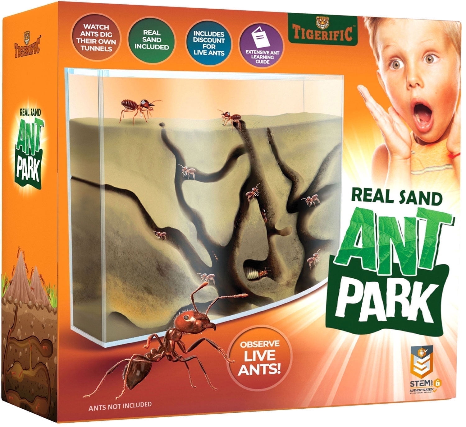 Tigerific Ant Farm for Live Ants, Real Sand Ant Colony Kit, Educational ...
