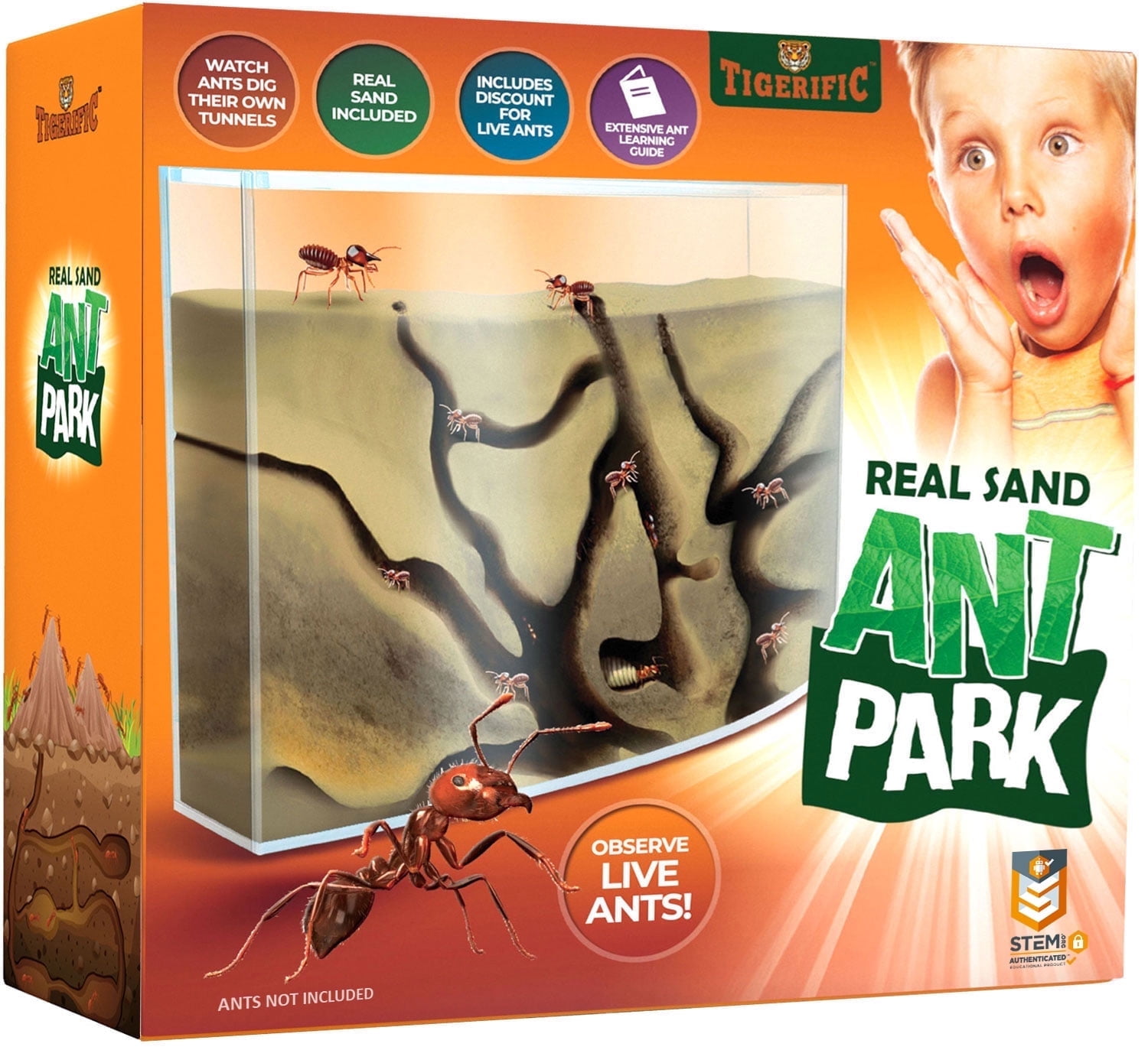 Tigerific Ant Farm for Live Ants – Real Sand Ant Colony Kit for ...