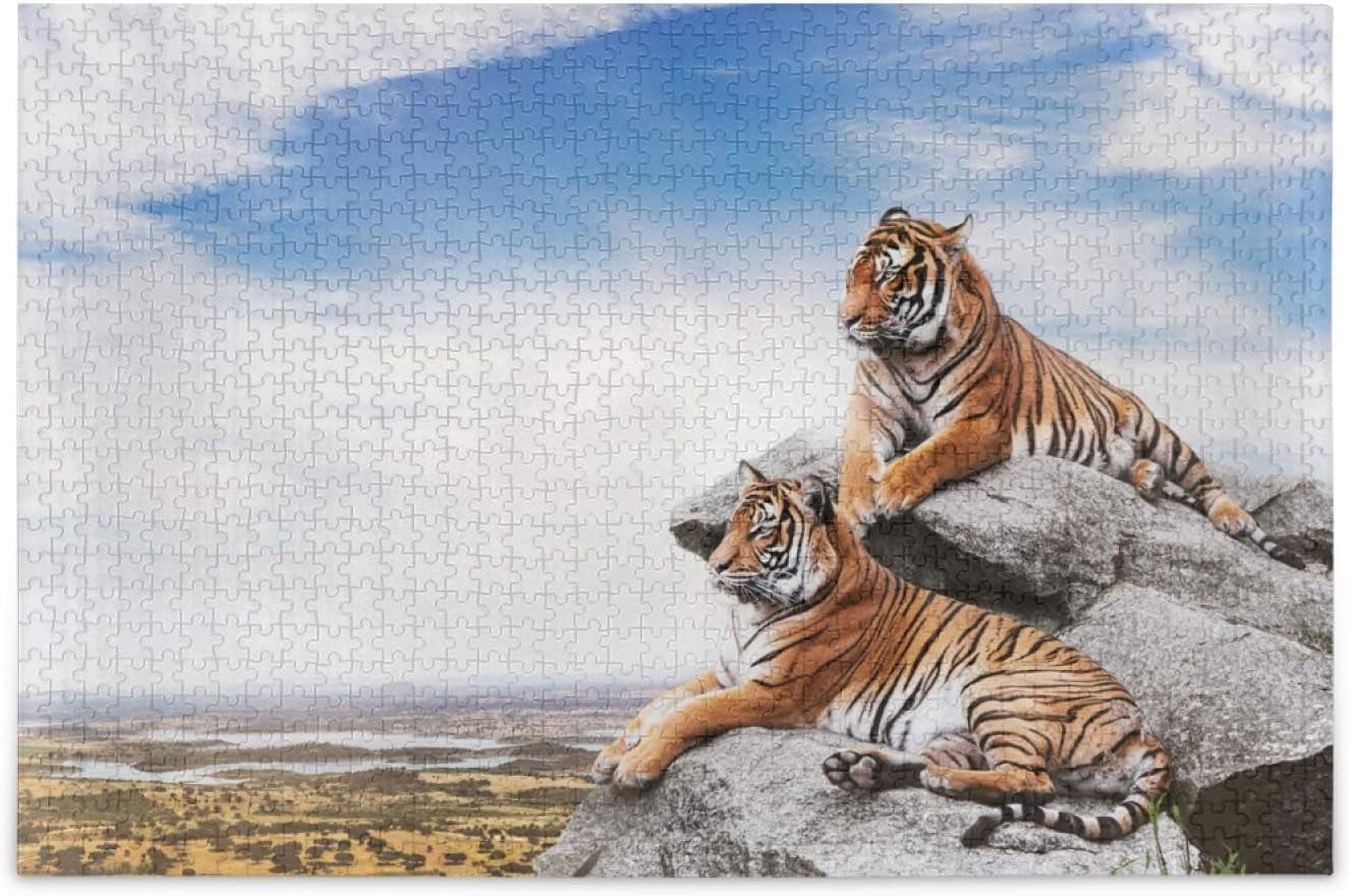 Tigers On The Rocks Puzzle for Adults 500 Piece Puzzles Game DIY Toys ...