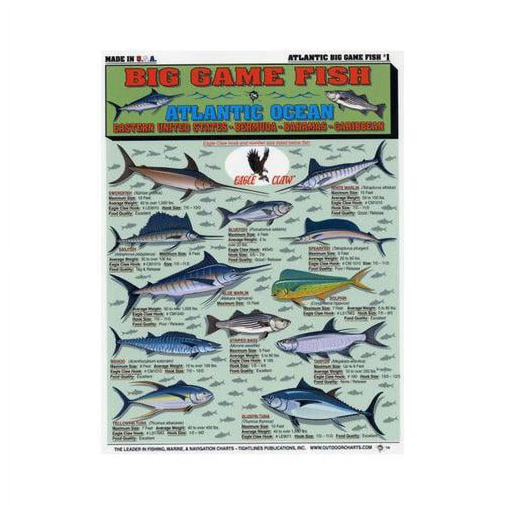 Tightlines 00027 Big Game Fish Chart #1 Atlantic Ocean - Walmart.com