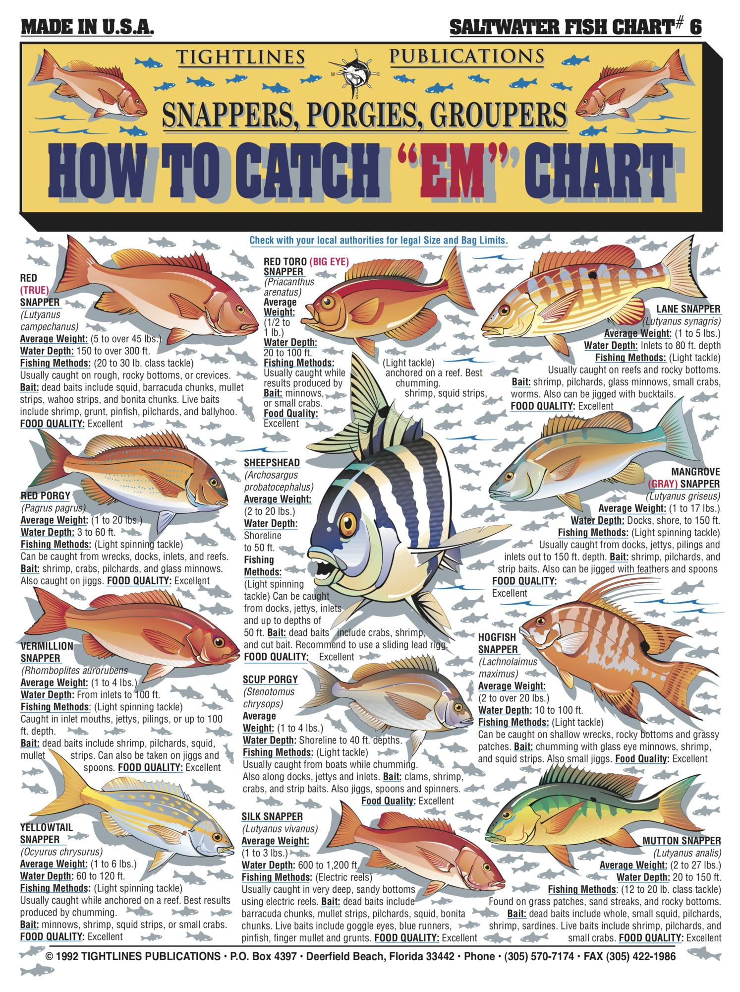 Saltwater Fish Chart