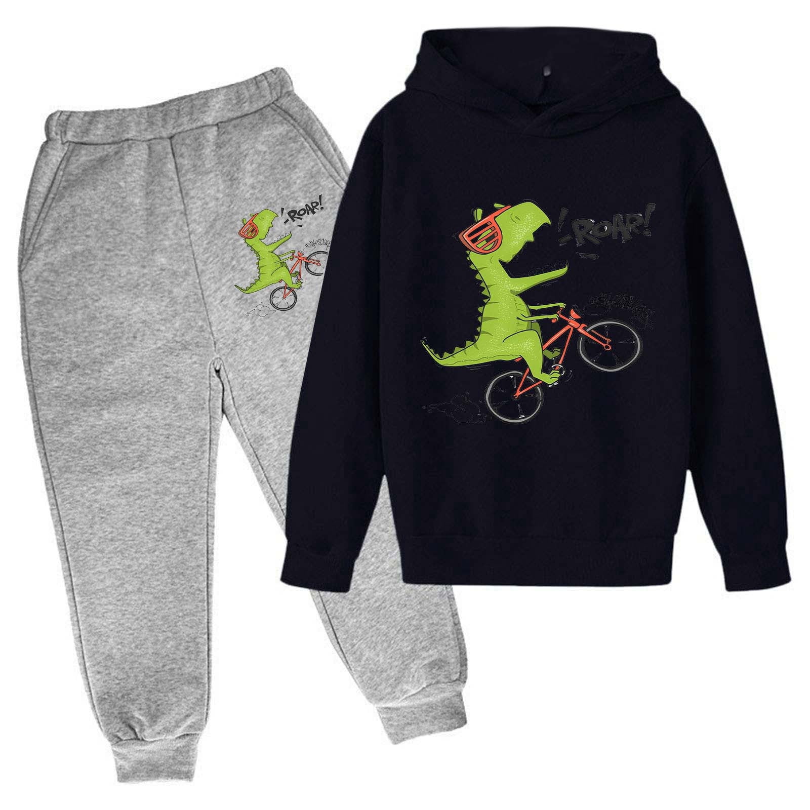 Tiijoy Toddler Boys Outfits Cartoon Dinosaur Print Hoodie Jogger Pants ...