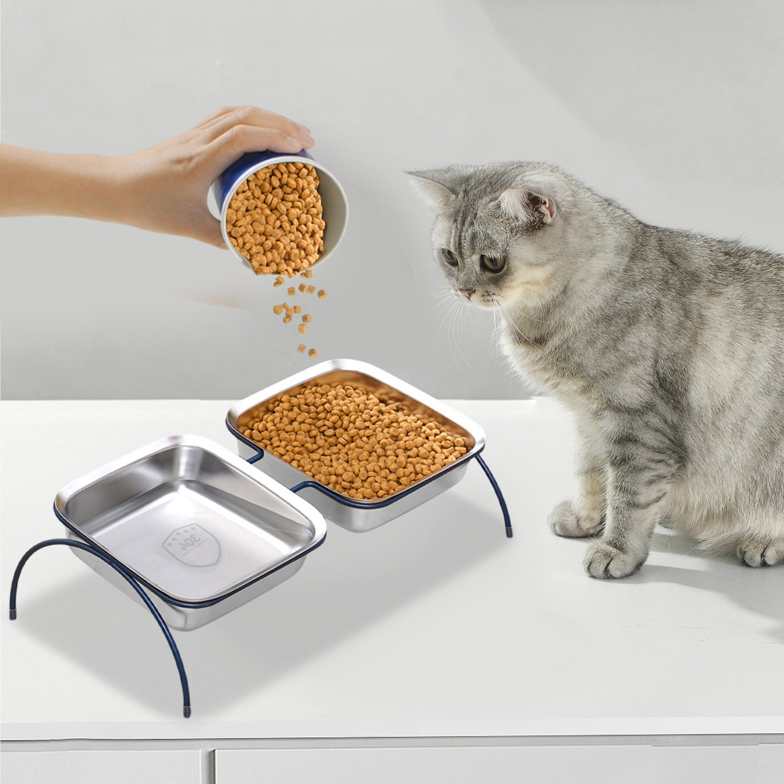 Tiitstoy Stainless Steel Food Plates for Cat, 2 Rectangular Tray ...