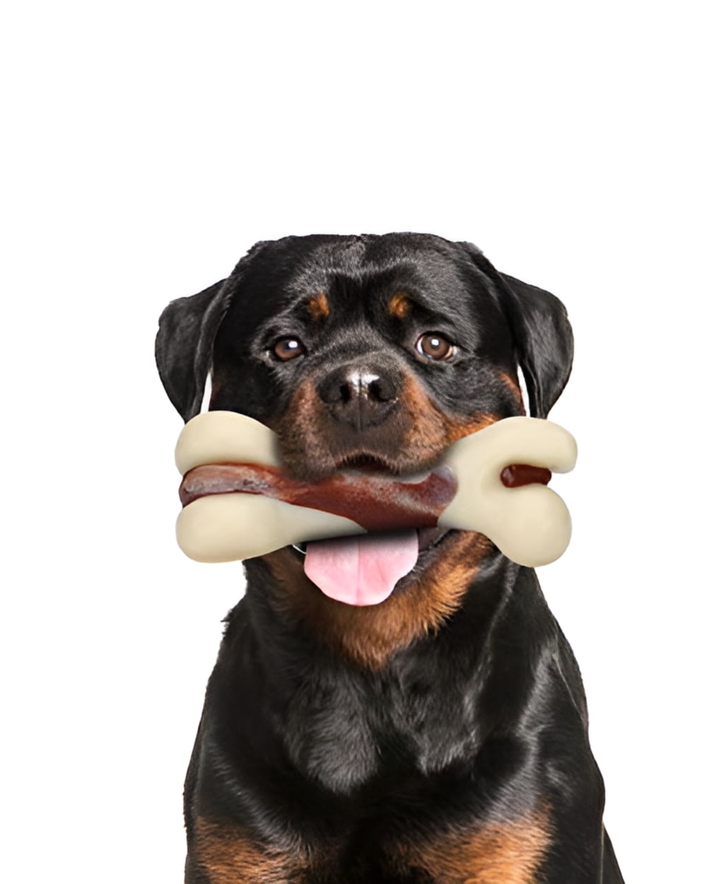 Tikaton Durable Dog Chew Toys Training Chewing Bone Shape Toys for ...