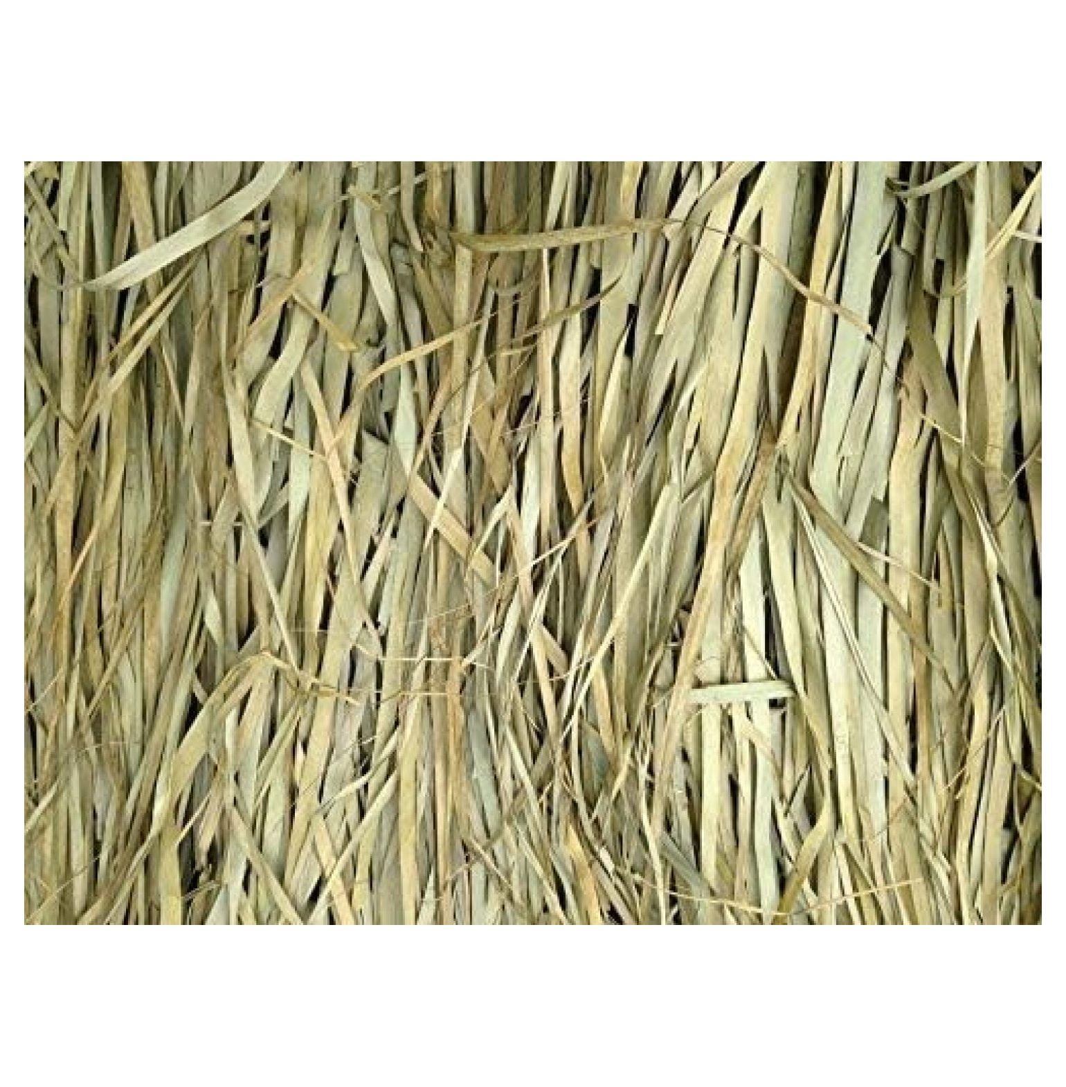 Tiki Bar Palm Thatch Grass Bundle (4 Pieces - Each Sheet is 5'H x 4'W ...