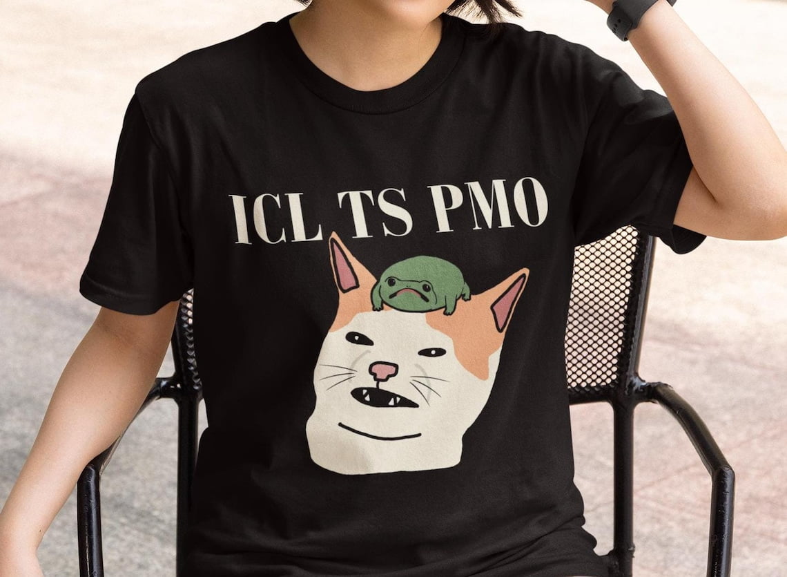 Tiktok Ts Pmo Slang T-shirt, Weird Cat Tee, Brainrot, Weird Meme ...