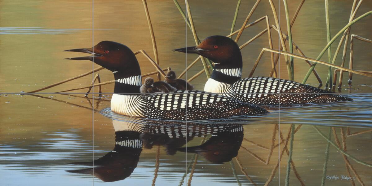 Tile Mural Kitchen Backsplash - Loon Family-CF - by Cynthie Fisher ...