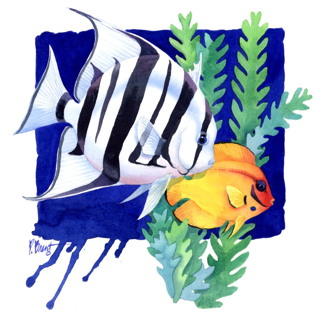 Tile Mural Kitchen Backsplash - PB-Atlantic Spade Fish - by Paul Brent ...