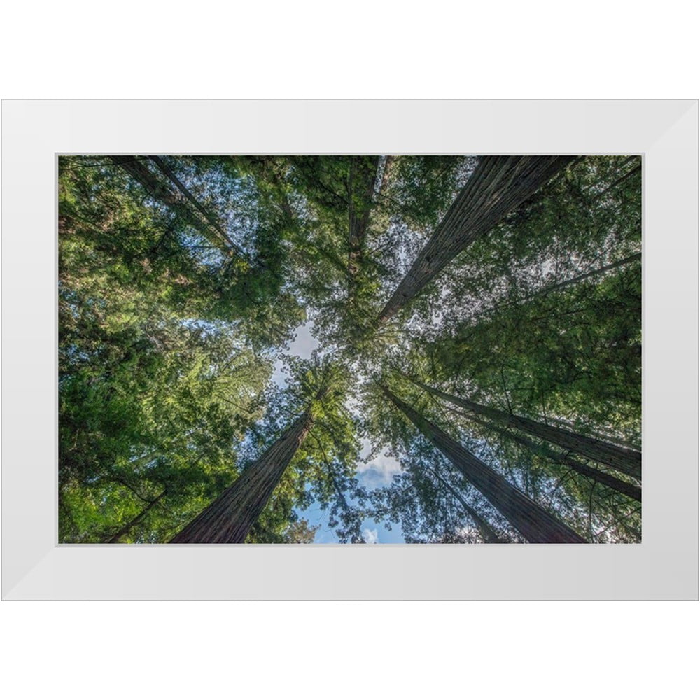 Tilley, Rob 24x17 White Modern Wood Framed Museum Art Print Titled ...