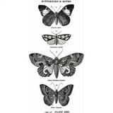 Tim Holtz Red Rubber Stamp - Walmart.com