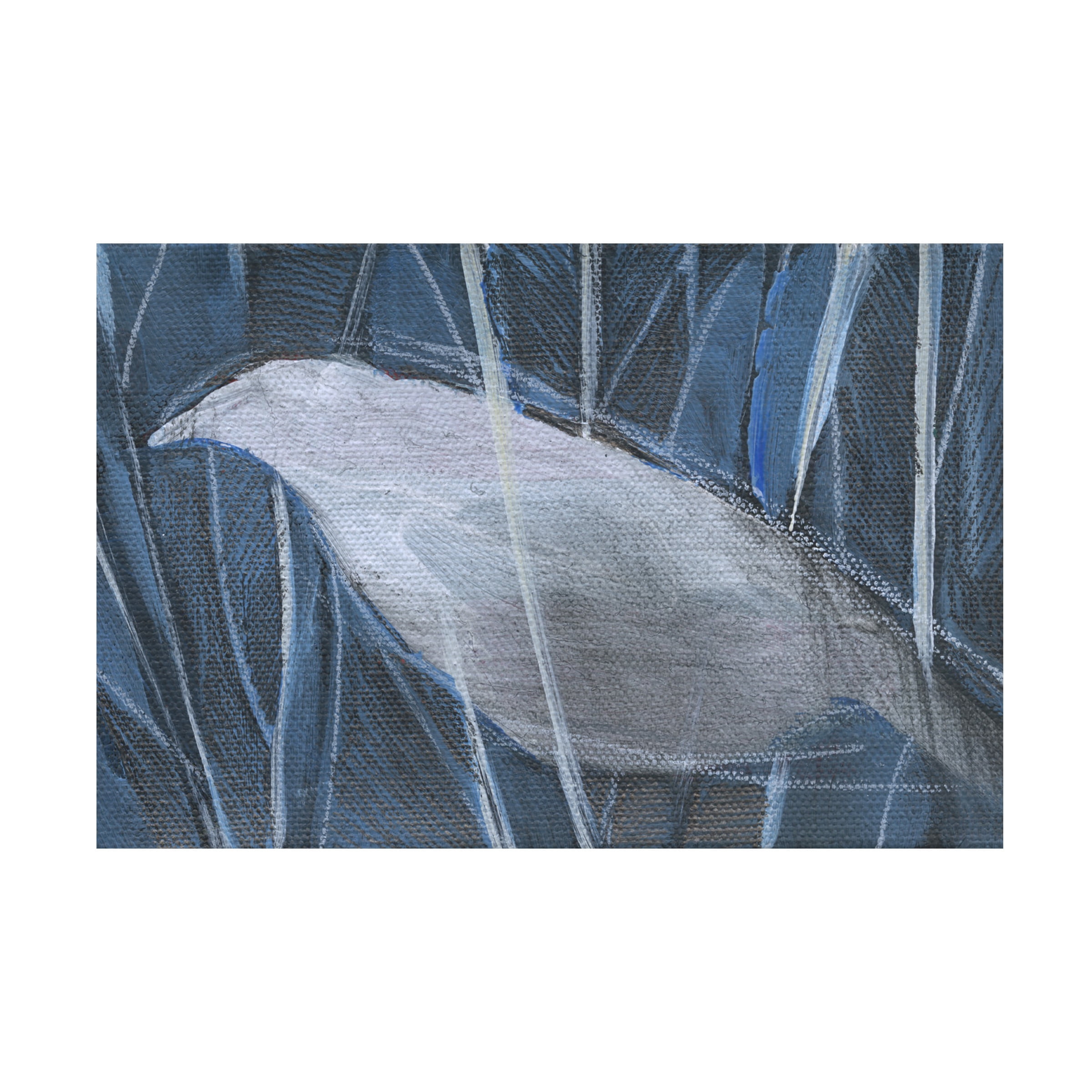 Tim Nyberg 'Bird 1' Canvas Art - Walmart.com