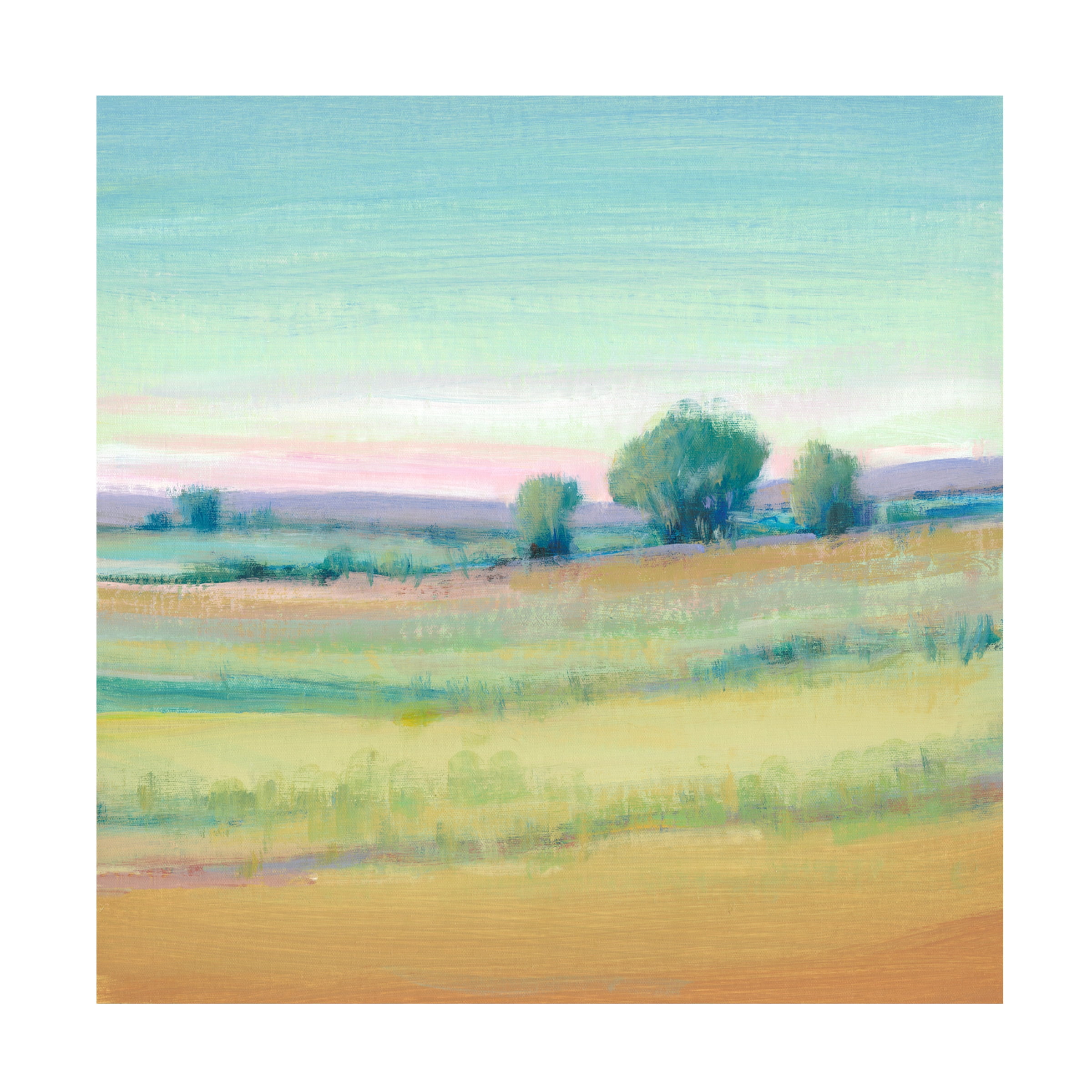 Tim O'Toole 'Vivid Landscape VI' Canvas Art - Walmart.com