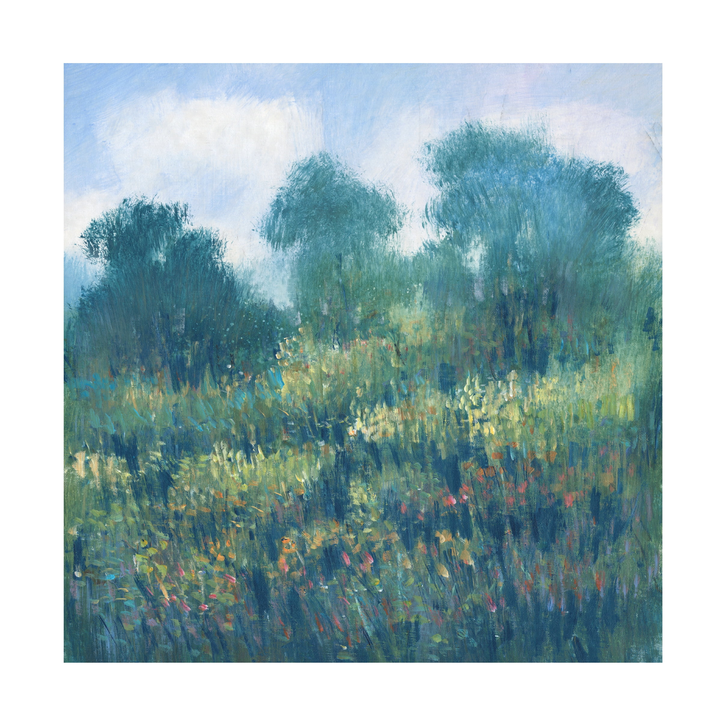 Tim OToole 'Meadow Wildflowers II' Canvas Art - Walmart.com