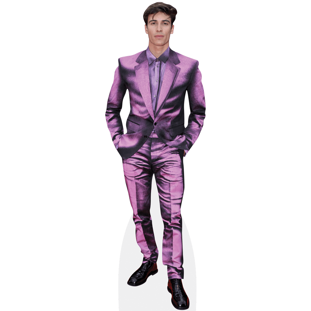 Tim Schaecker (Purple Suit) Lifesize Cardboard Cutout Standee - Walmart.com