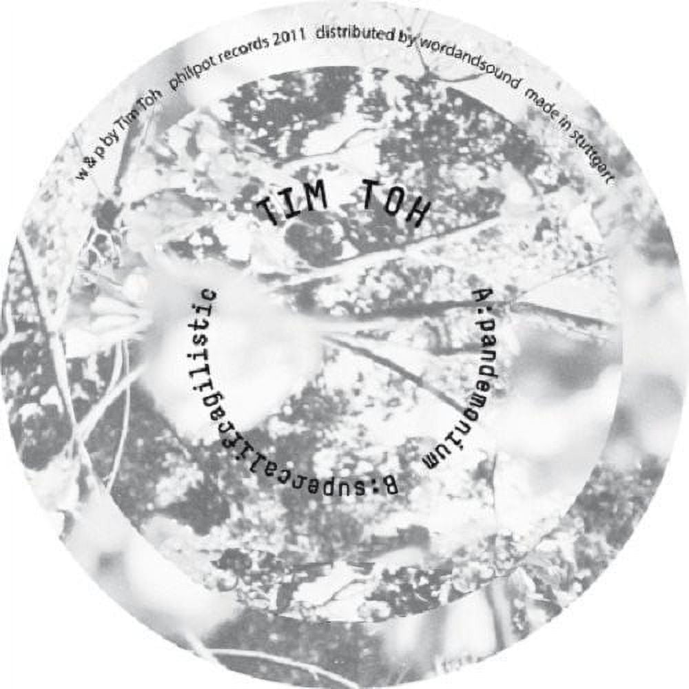 Tim Toh - Pandemonium - Electronica - Vinyl - Walmart.com