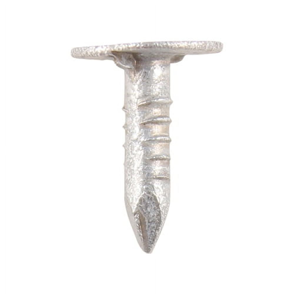 Timco - Extra Large Head Clout Nails - Galvanised (Size 20 x 3.00 - 0.5 ...