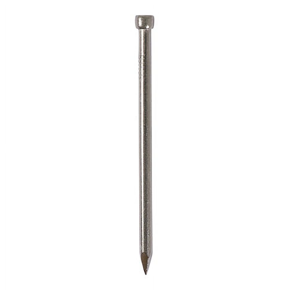 Timco - Round Lost Head Nails - Stainless Steel (Size 65 x 3.35 - 10 ...