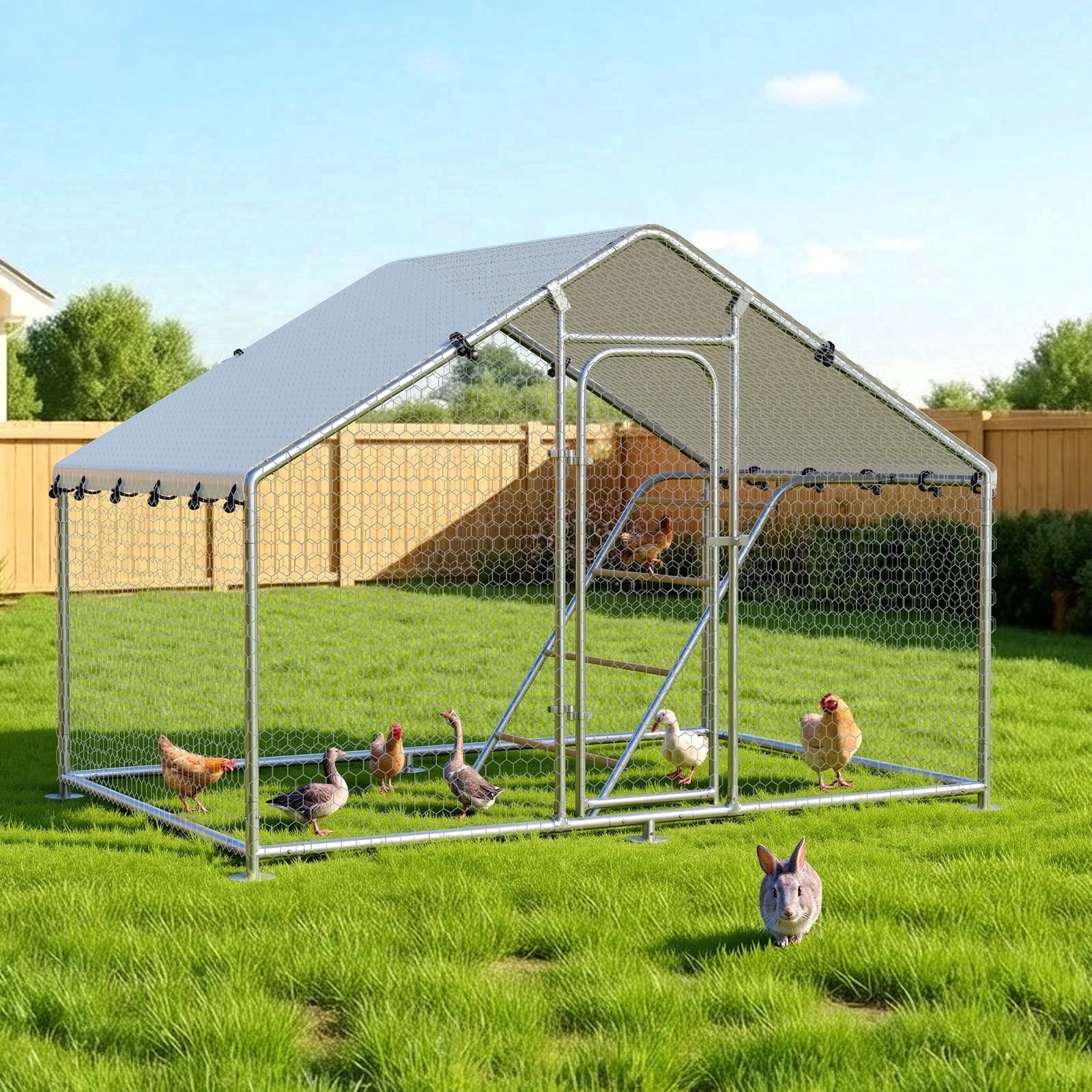Time Ray Outdoor Chicken Coop with Roosting for 5 Chickens Run Walk-in ...