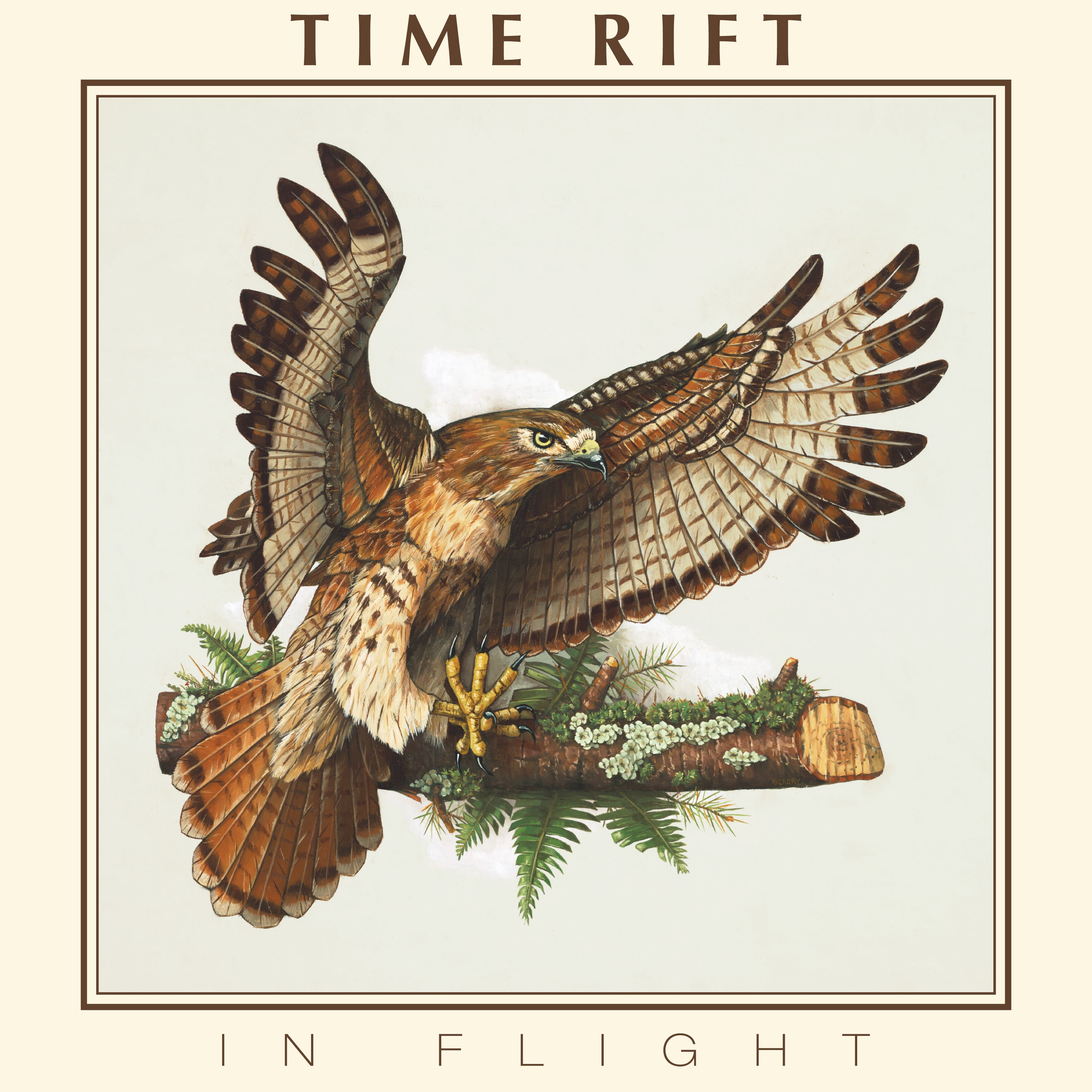 Time Rift - In Flight - Music & Performance - Vinyl - Walmart.com