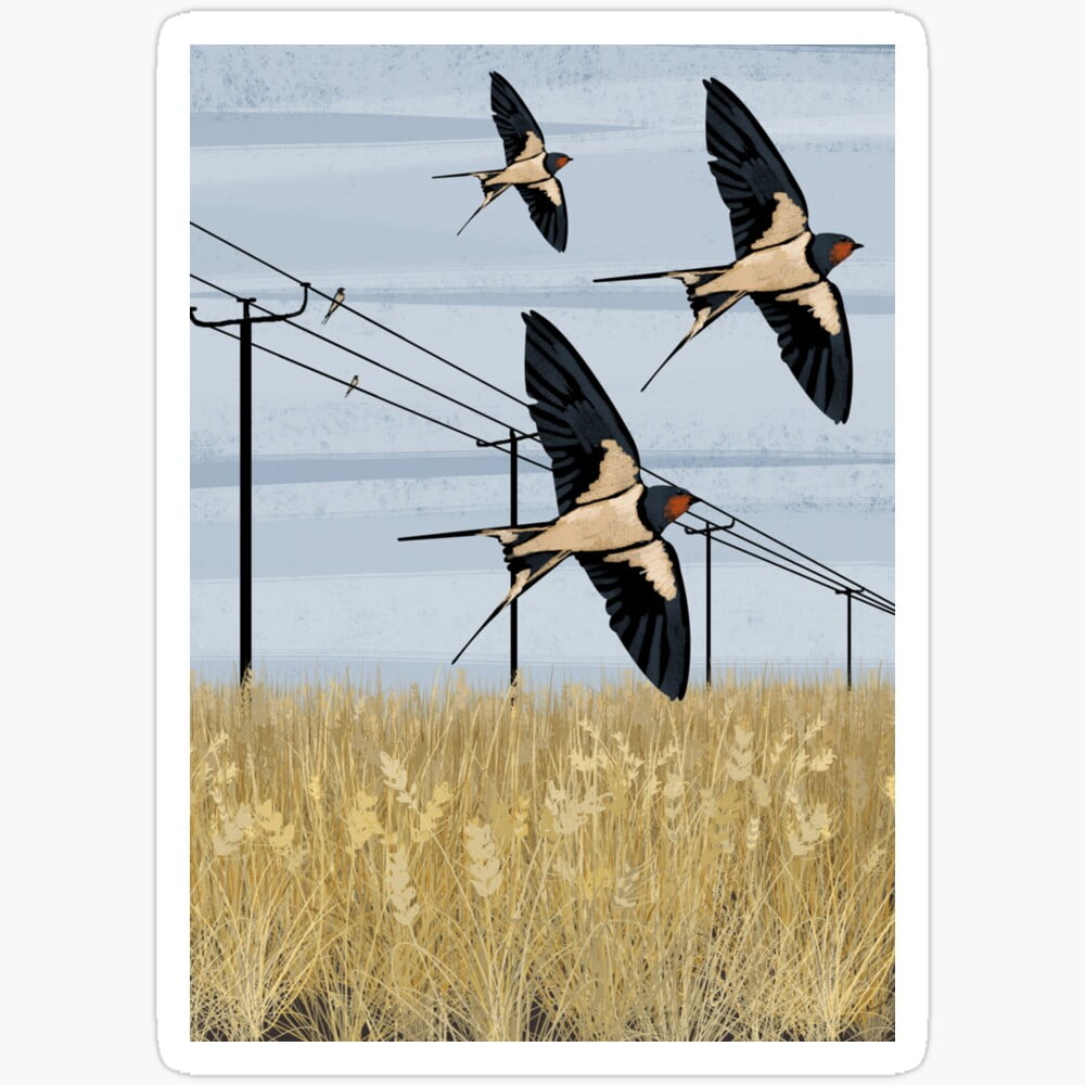 Time To Go Sticker Phone Decal Water Bottle Stickers Car Decals, Laptop ...