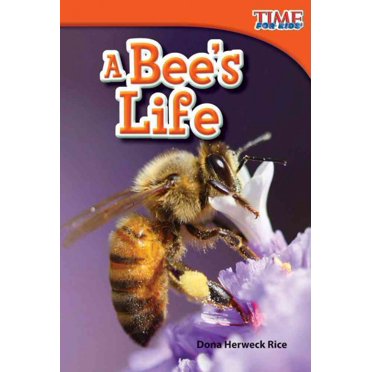 World Of Honey Bees : The Brilliant, Real-Life Photos Of Bees, Their ...