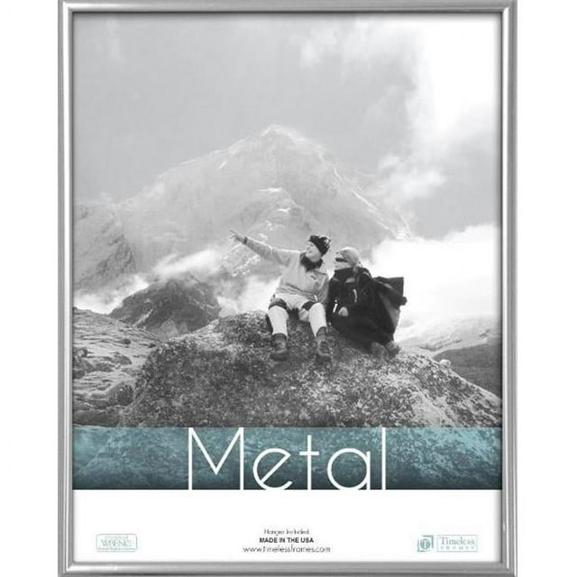 Timeless Frames Metal Picture Frame