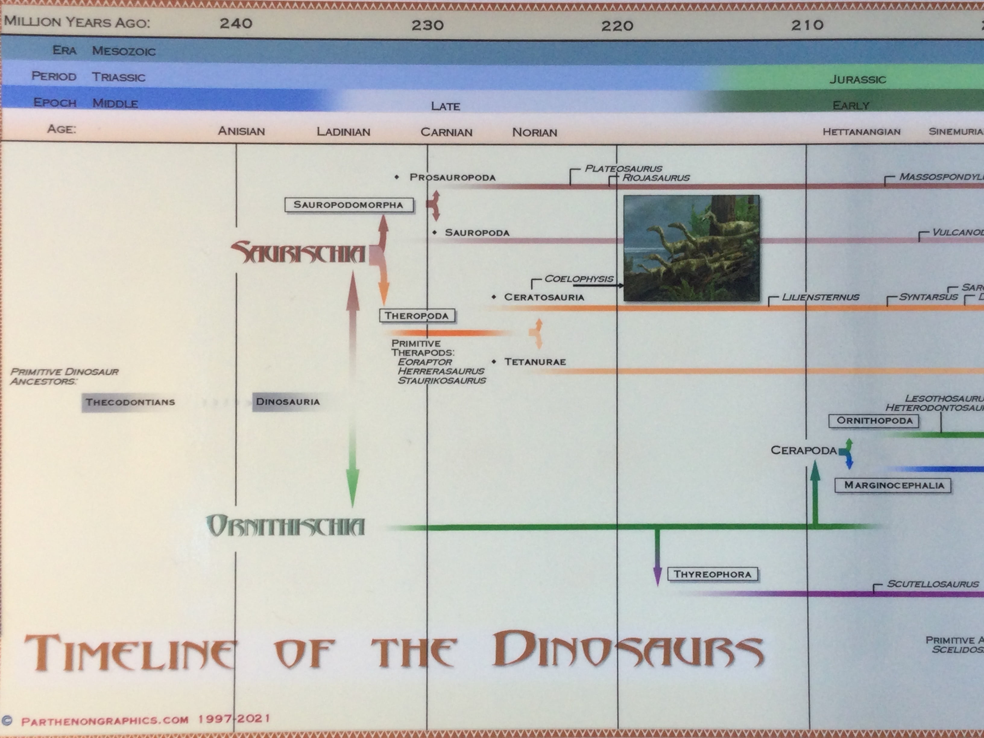 Parthenon Graphics Timeline of The Dinosaurs Laminated Panoramic Poster ...