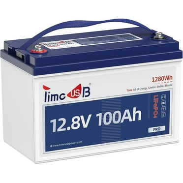 EverStart Platinum BOXED AGM Marine and RV Deep Cycle Battery, Group ...