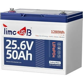 Group U1 Battery Size