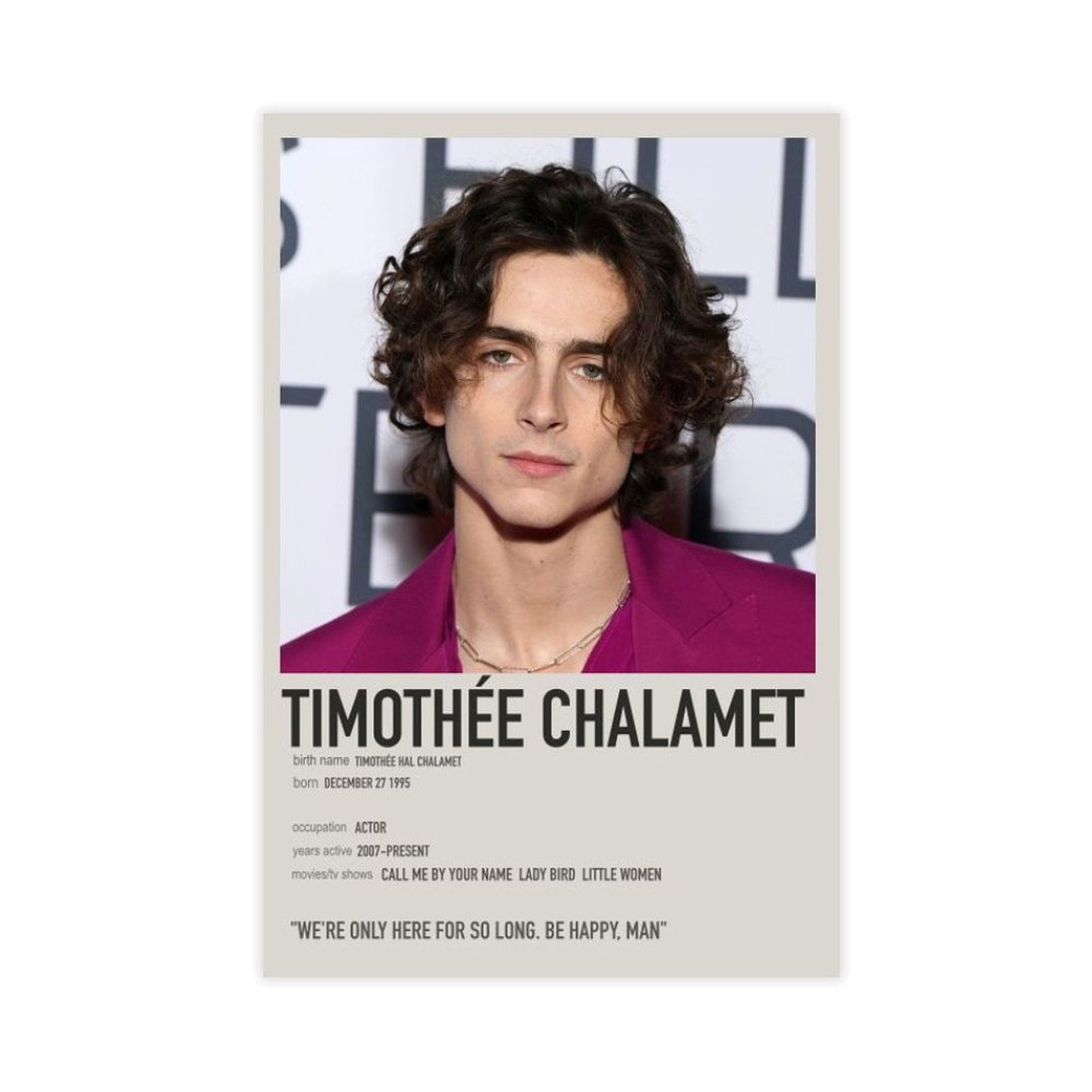 Timothée Chalamet Posters Art Print Bedroom Decor for Wall Art Print Gift Home Decor - Walmart.com