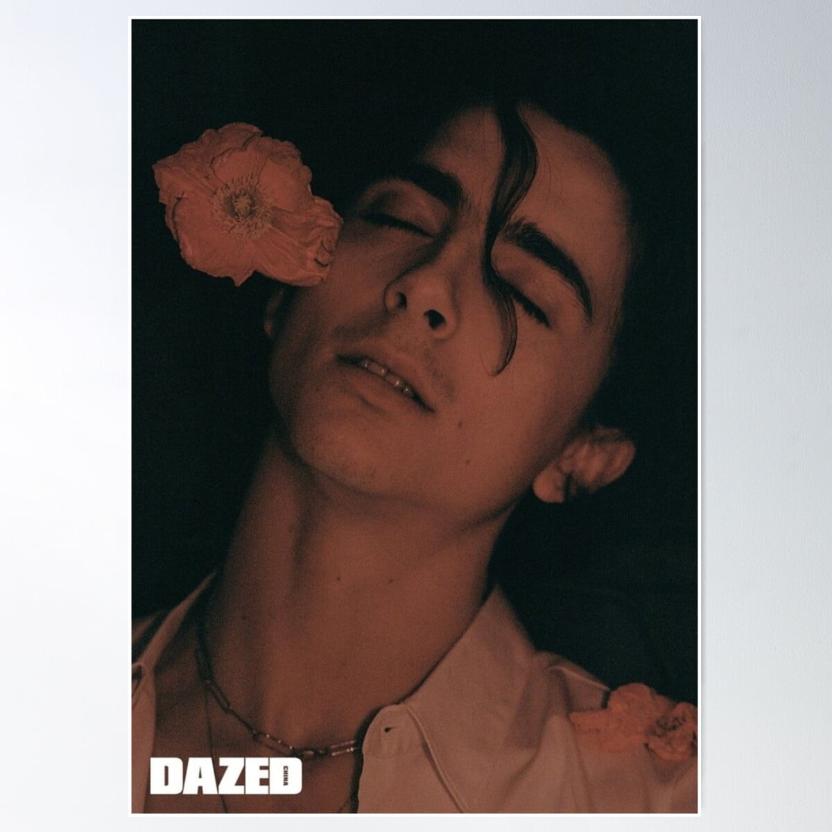 Timothee Chalamet Poster Wall Art, Modern Wall Decor For Living Room Bedroom, 8x12 UNFRAMED ...