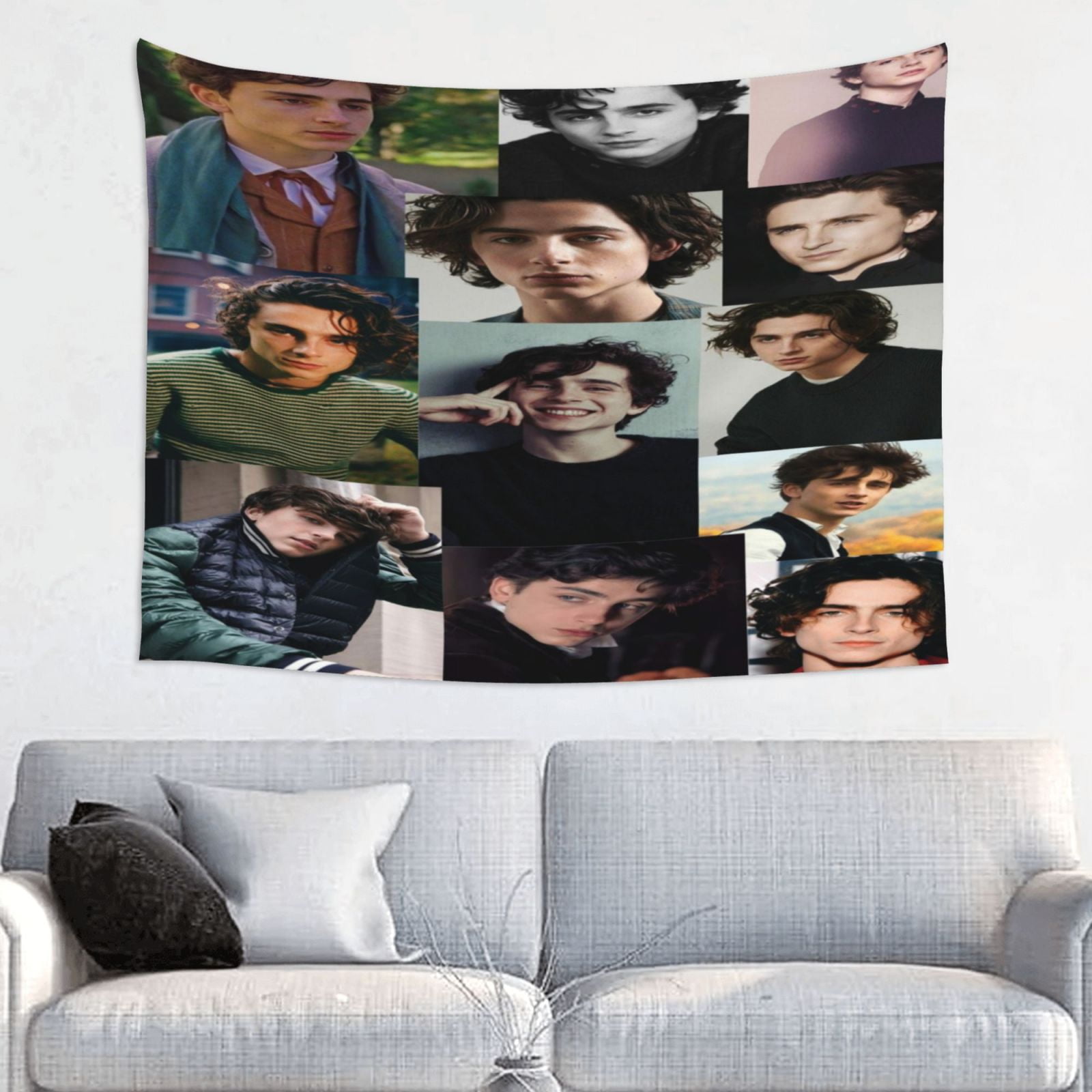 Timothee Chalamet Wall Art Cartoon Tapestry Hanging In Bedroom Living ...