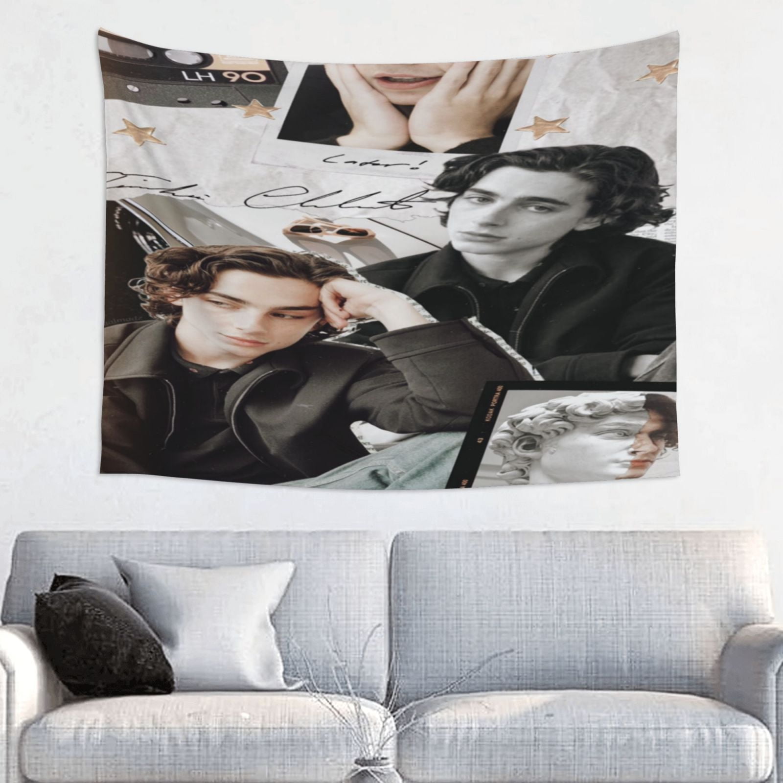 Timothee Chalamet Wall Art Cartoon Tapestry Hanging In Bedroom Living ...