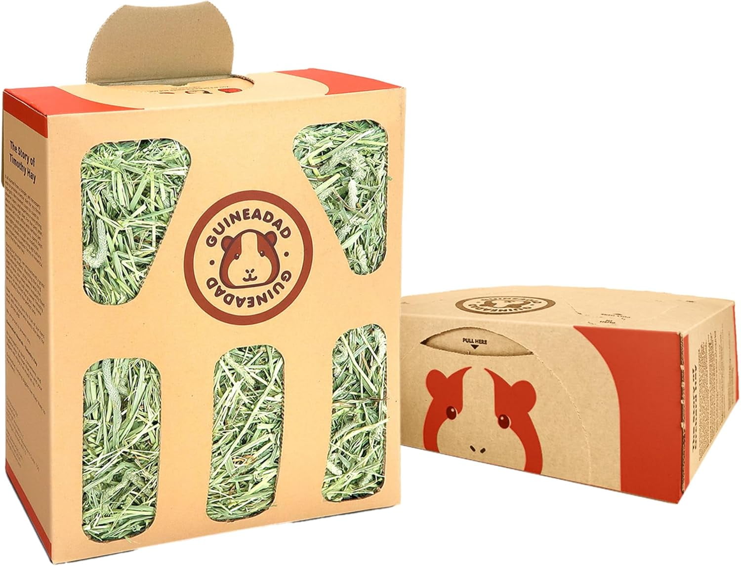 Timothy Hay Box - Premium Timothy Hay for Guinea Pigs, Rabbits, Small ...