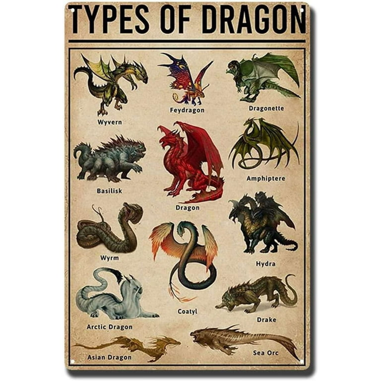 dragon categories