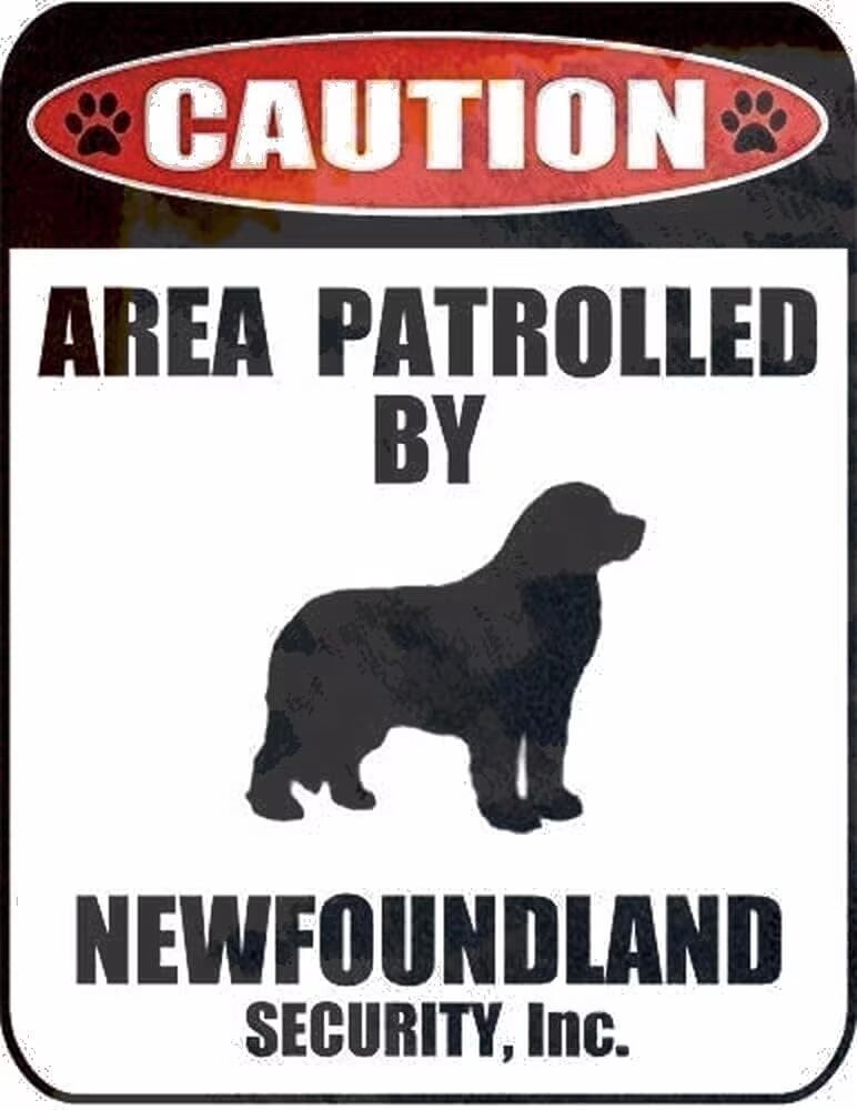 Tin Poster Metal Sign Pickle Site Safety Days Since Last Velociraptor ...