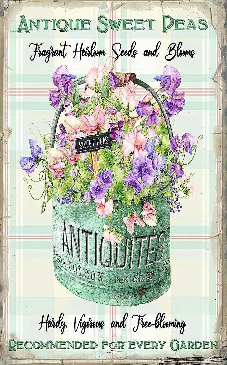 Tin Sign 12x16 Inch Antique Sweet Peas Vintage Style Metal Tin Sign ...