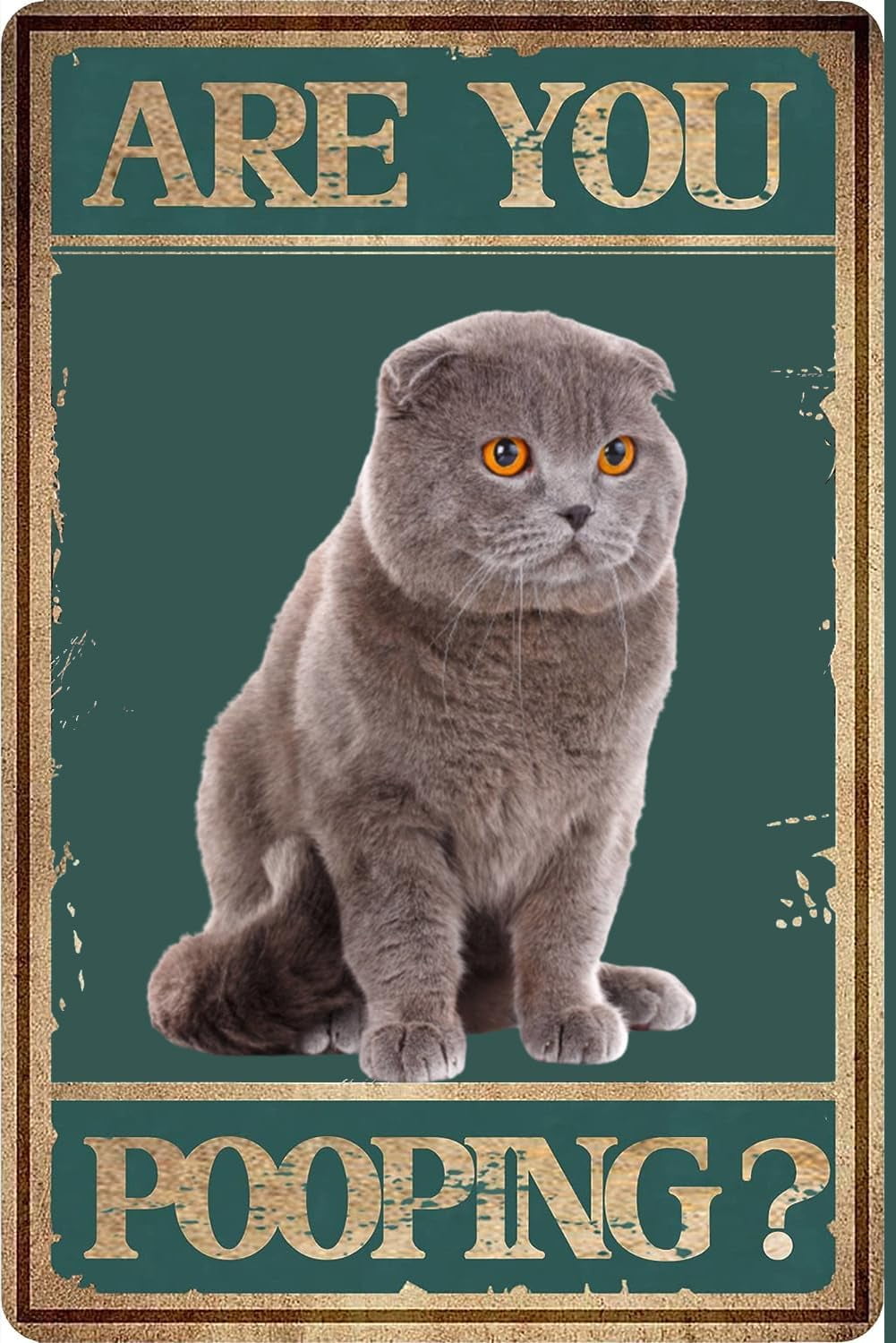 Tin Sign 12x16 Inch Are You Pooping Cat Signs Funny Cat Bathroom Wall ...