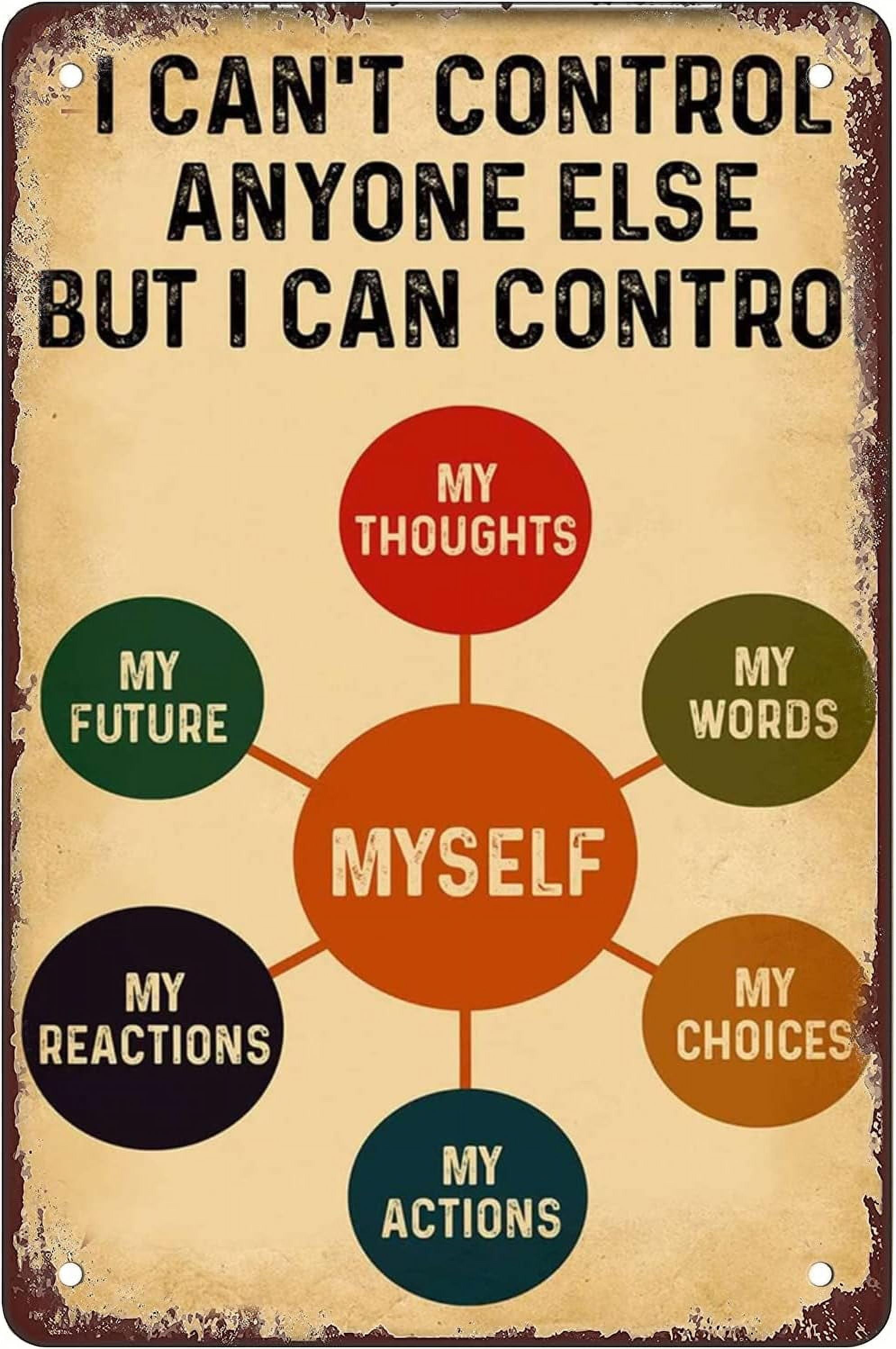 Tin Sign 12x16 Inch I Can't Control Anyone Else But I Can Control ...